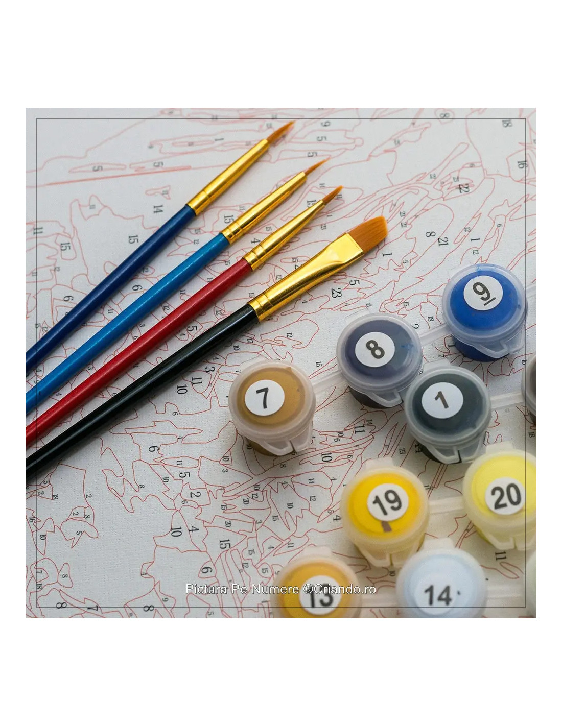 Pictura pe numere Peisaje 40x50 cm PDP2225 - www.roua.ro