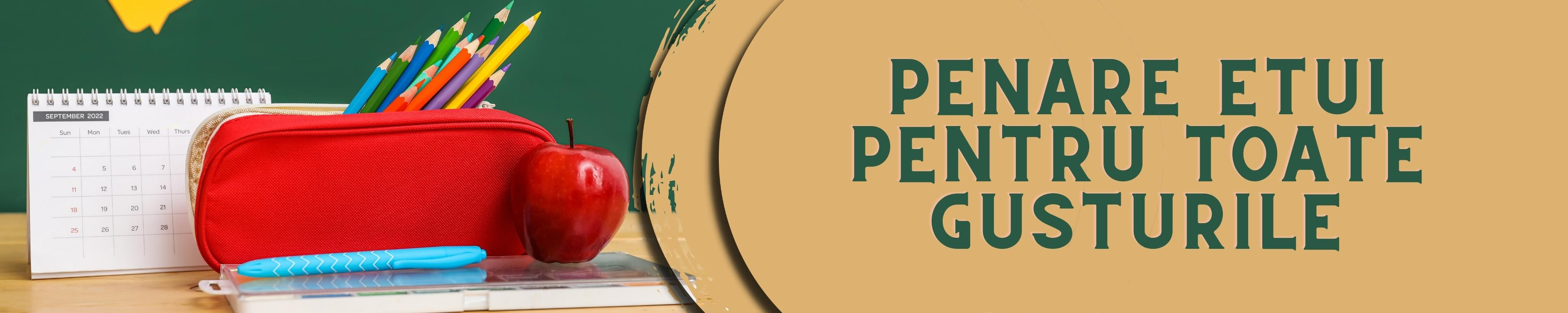 Cauti Penare la preturi mici? Alege din oferta ROUA.ro